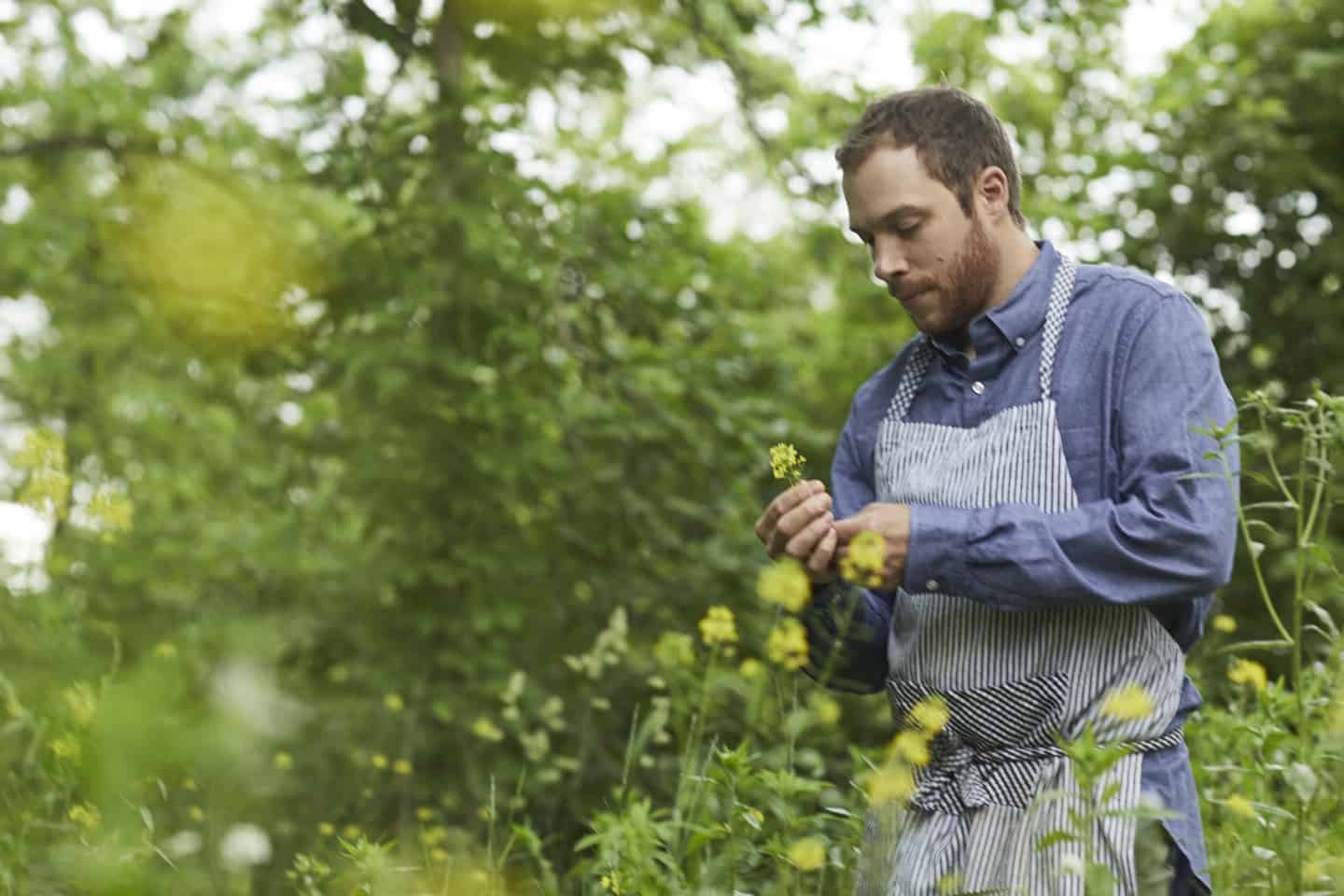 Alan Bergo - The Forager Chef